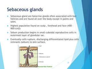 Structure of skin, Dry Skin and Acne | PPTX