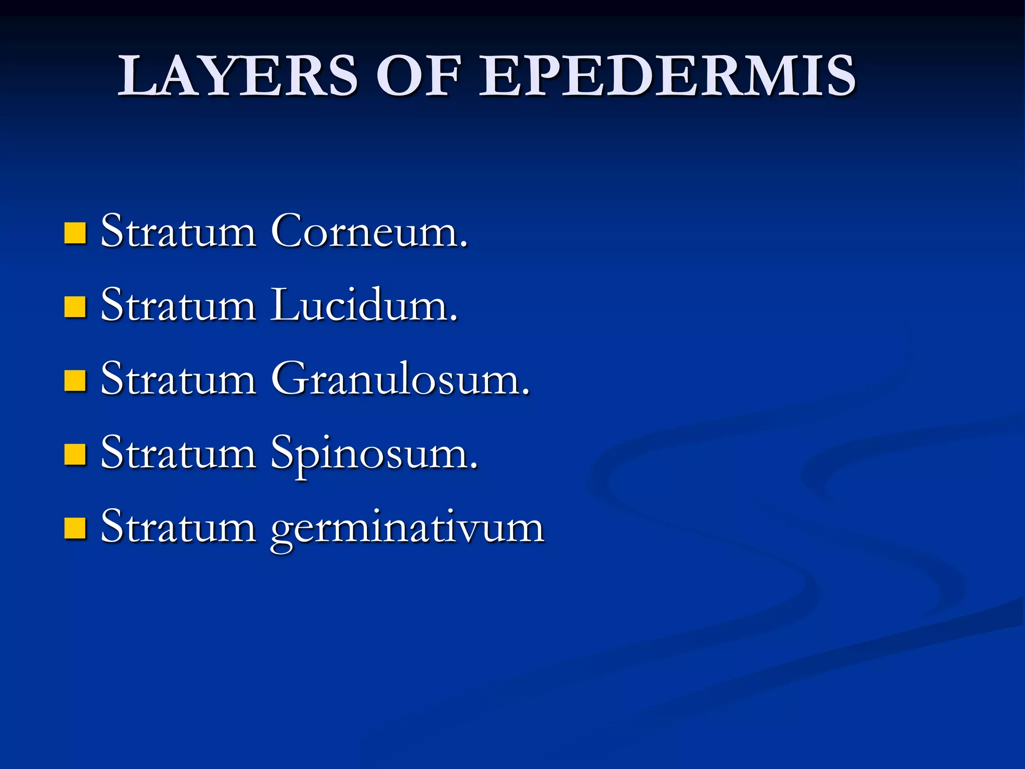 Structure of skin.ppt