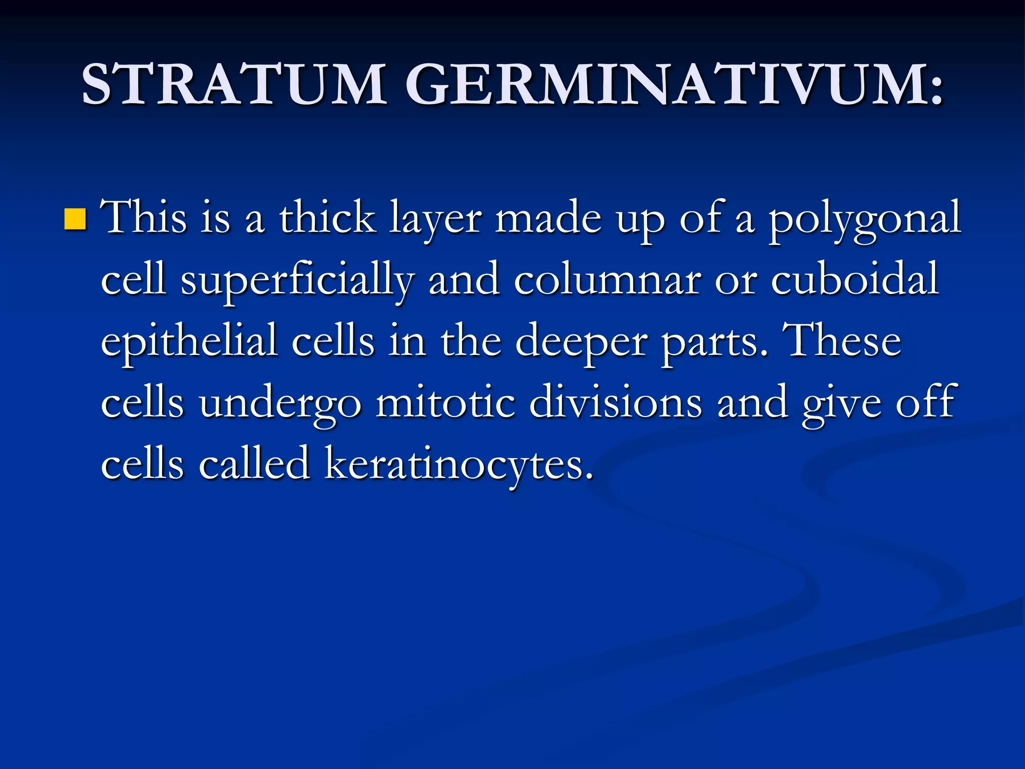 Structure of skin.ppt