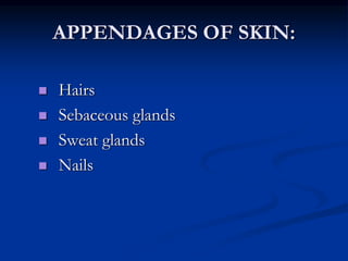 Structure of skin.ppt