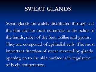 Structure of skin.ppt | Skin and Dermatology | Diseases and Conditions