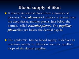 Structure of skin.ppt