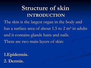 Structure of skin.ppt | Skin and Dermatology | Diseases and Conditions