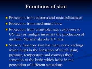 Structure of skin.ppt | Skin and Dermatology | Diseases and Conditions
