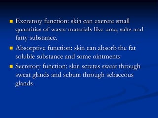 Structure of skin.ppt | Skin and Dermatology | Diseases and Conditions