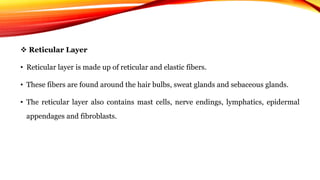 Structure of Skin.fxtxrxtcyftftfyfyfftfpptx | PPT