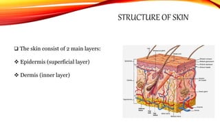 Structure of Skin.fxtxrxtcyftftfyfyfftfpptx | PPTX