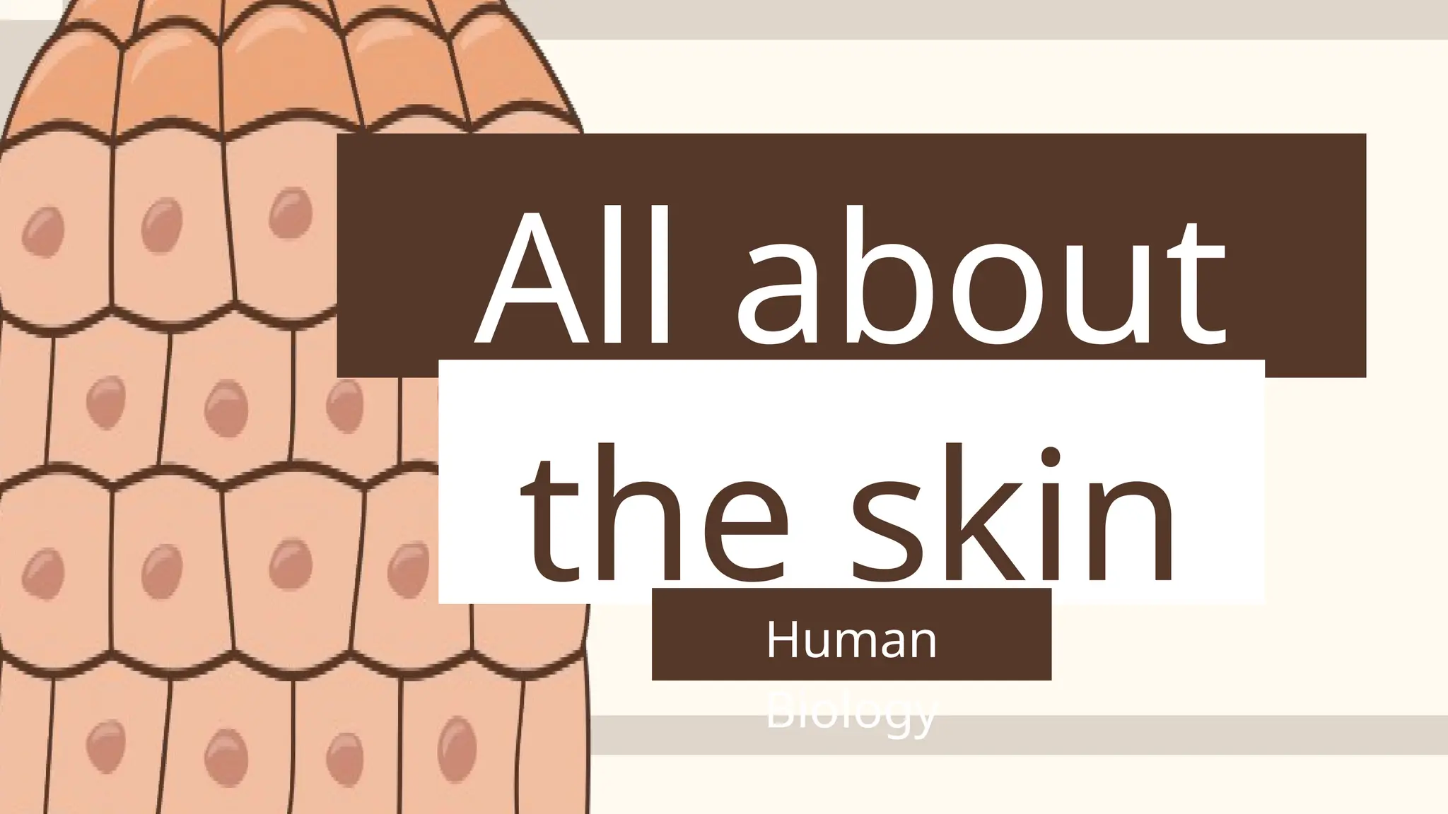 Structure of Skin and applications .pptx