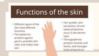 Structure of Skin and applications .pptx