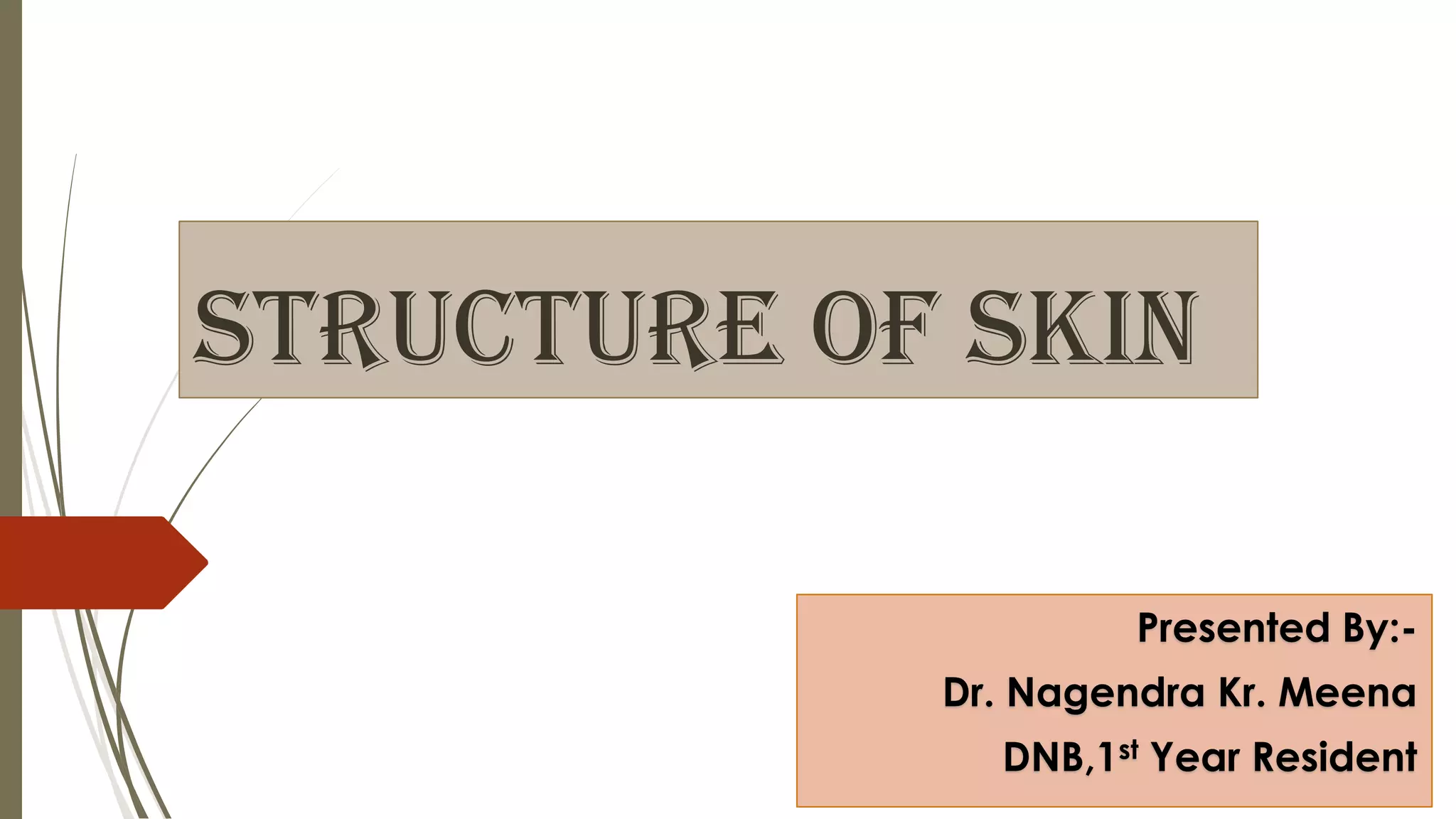 Structure of Skin | Layers of Skin | PDF