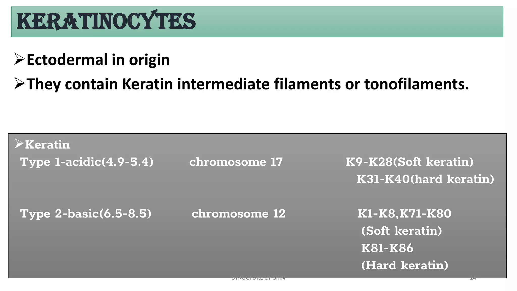 Structure of Skin | Layers of Skin | PDF