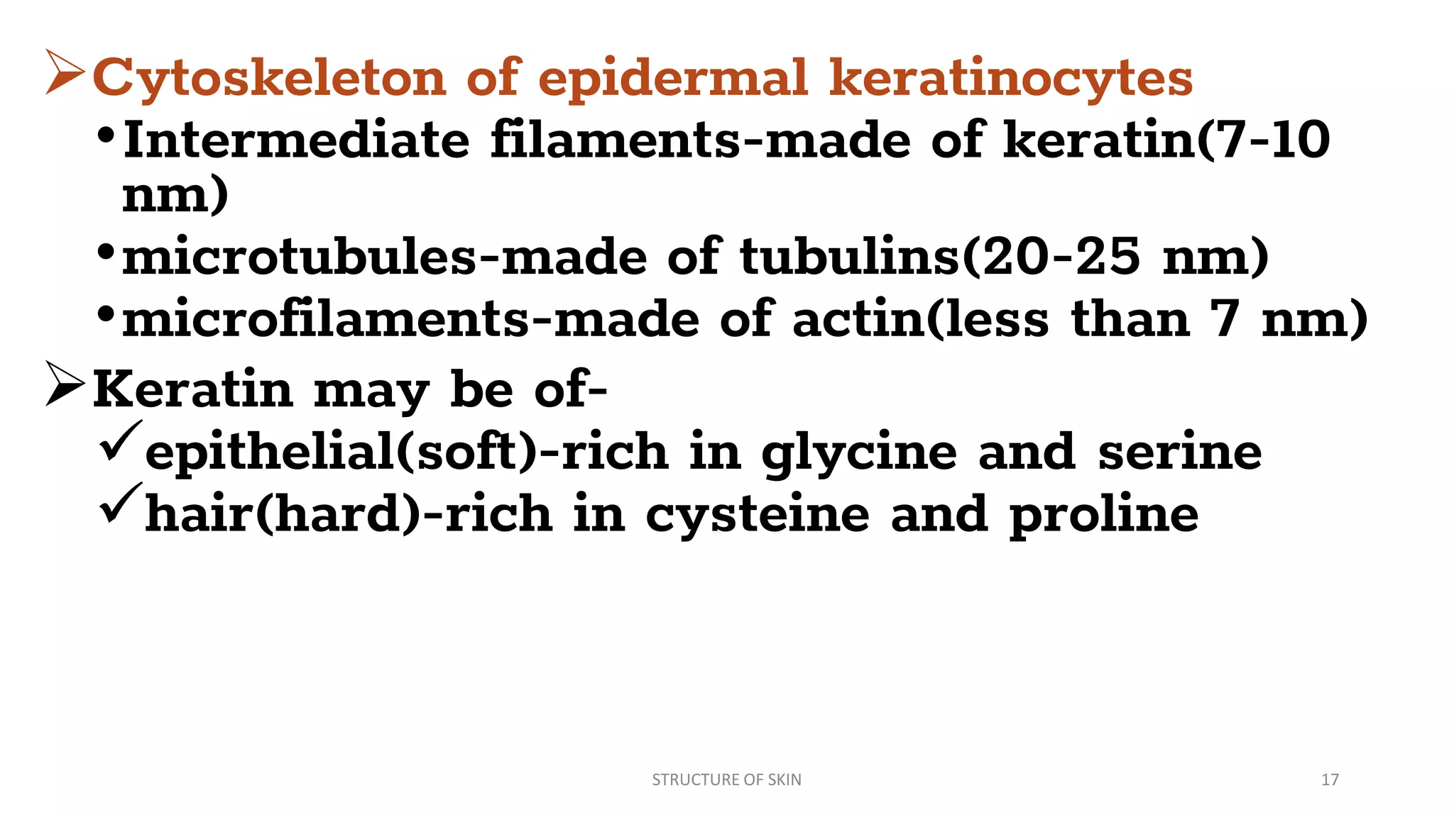 Structure of Skin | Layers of Skin | PDF