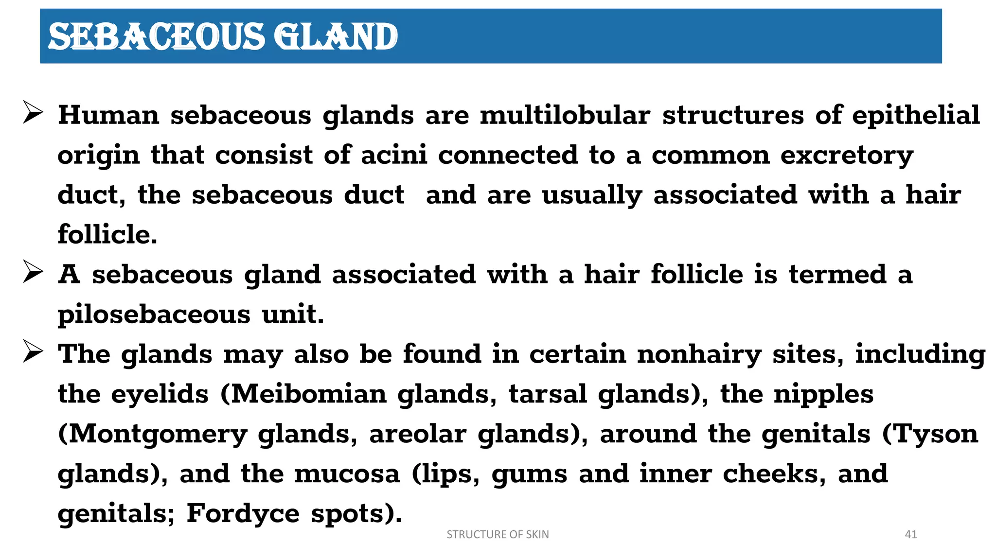 Structure of Skin | Layers of Skin | PDF
