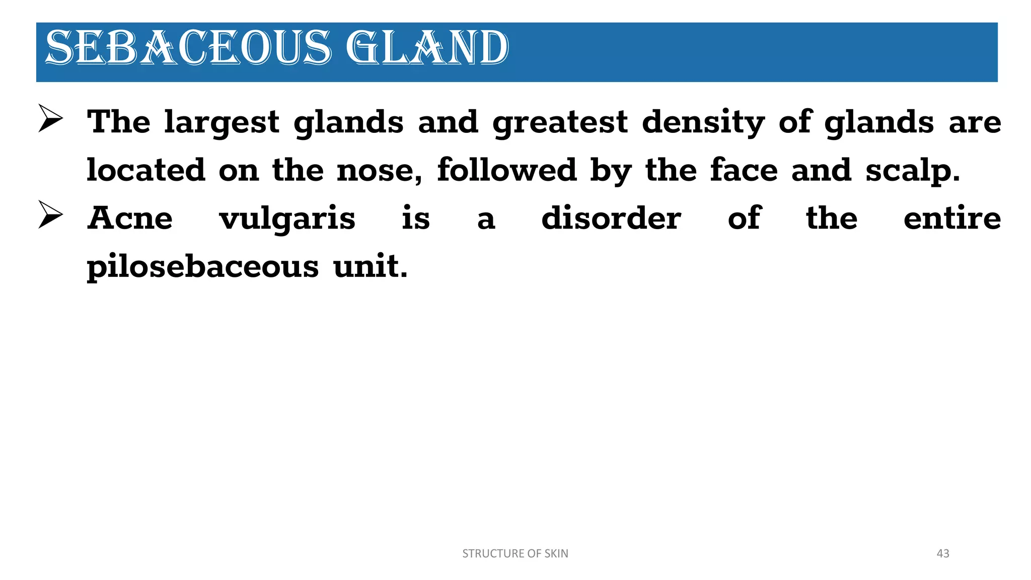 Structure of Skin | Layers of Skin | PDF