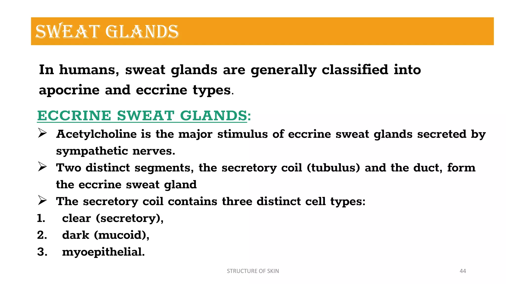 Structure of Skin | Layers of Skin | PDF