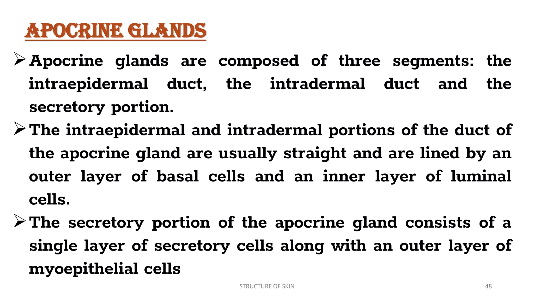 Structure of Skin | Layers of Skin | PDF