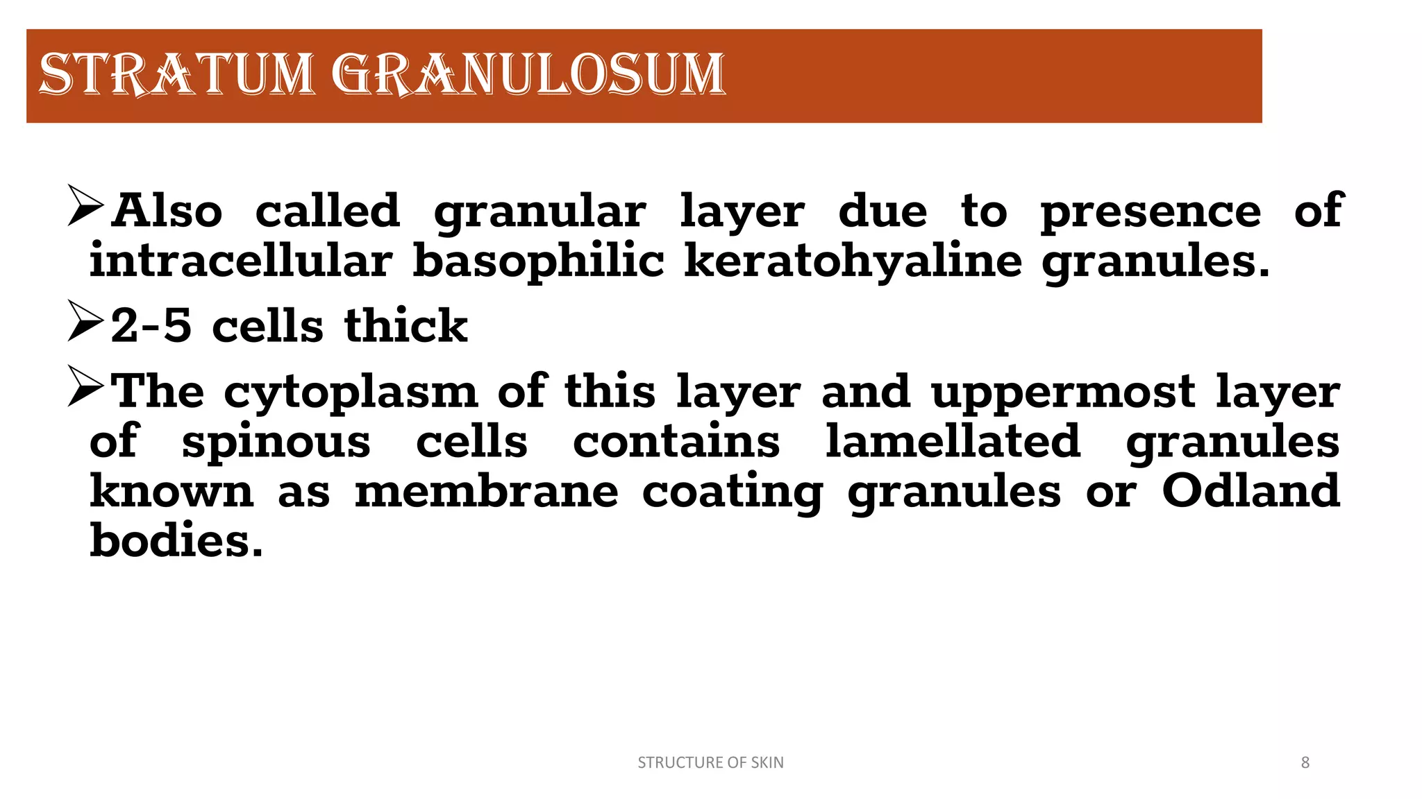 Structure of Skin | Layers of Skin | PDF