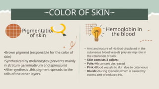 Structure of skin represented by Vadamodula Bhanu | PPTX
