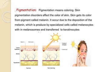 Structure of skin and skin relating problems | PPTX