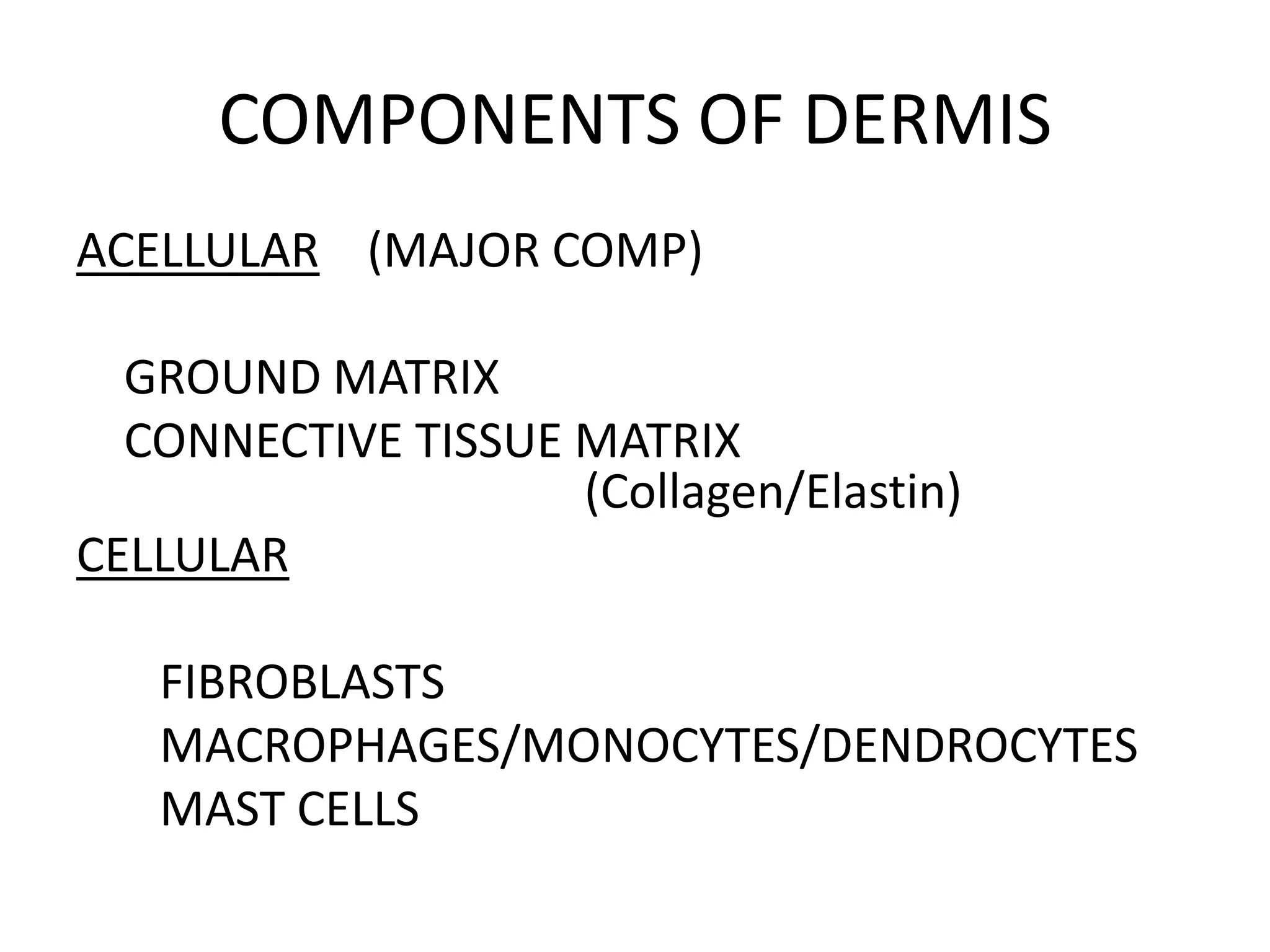 Structure of Skin by Aseem | PPTX