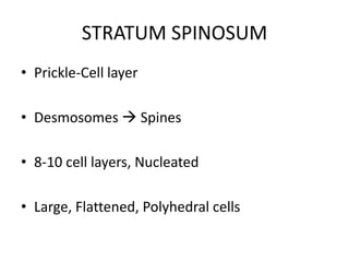 Structure of Skin by Aseem | PPTX