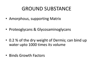 Structure of Skin by Aseem | PPTX