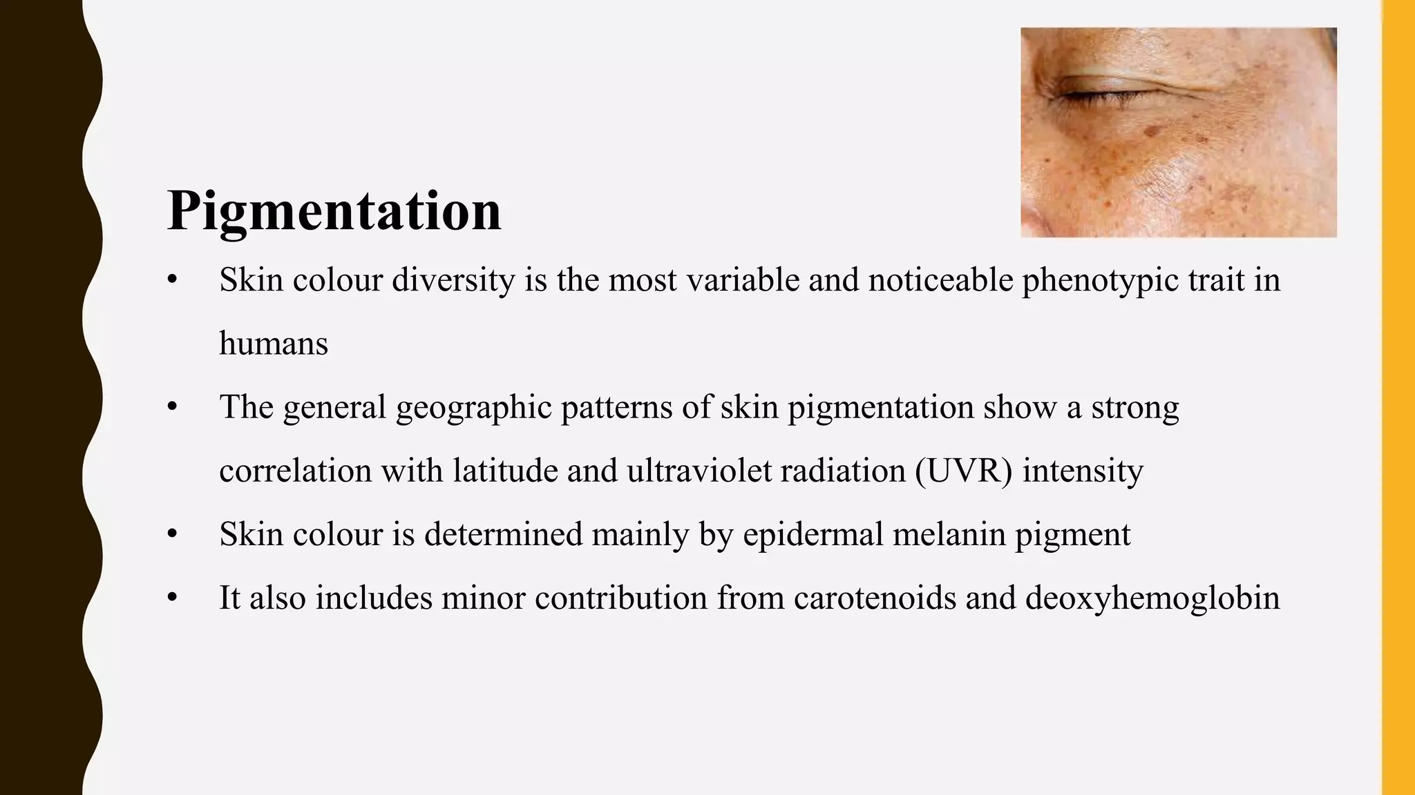 Structure of skin in various relating problems | PPTX