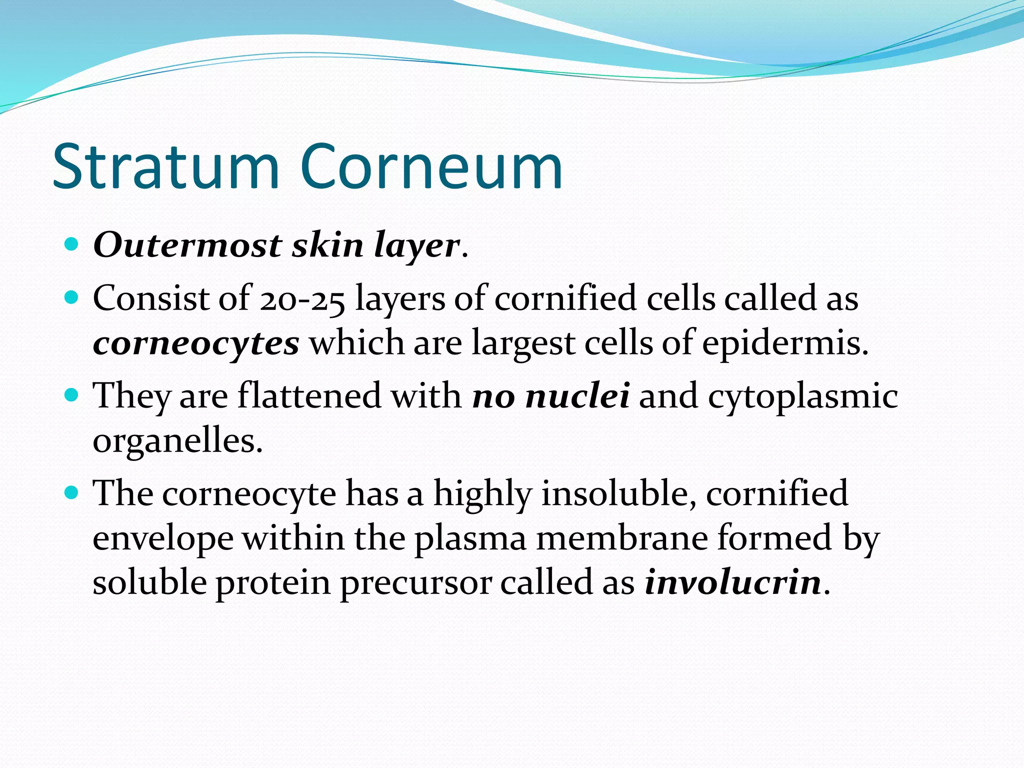 Structure of skin | PPTX