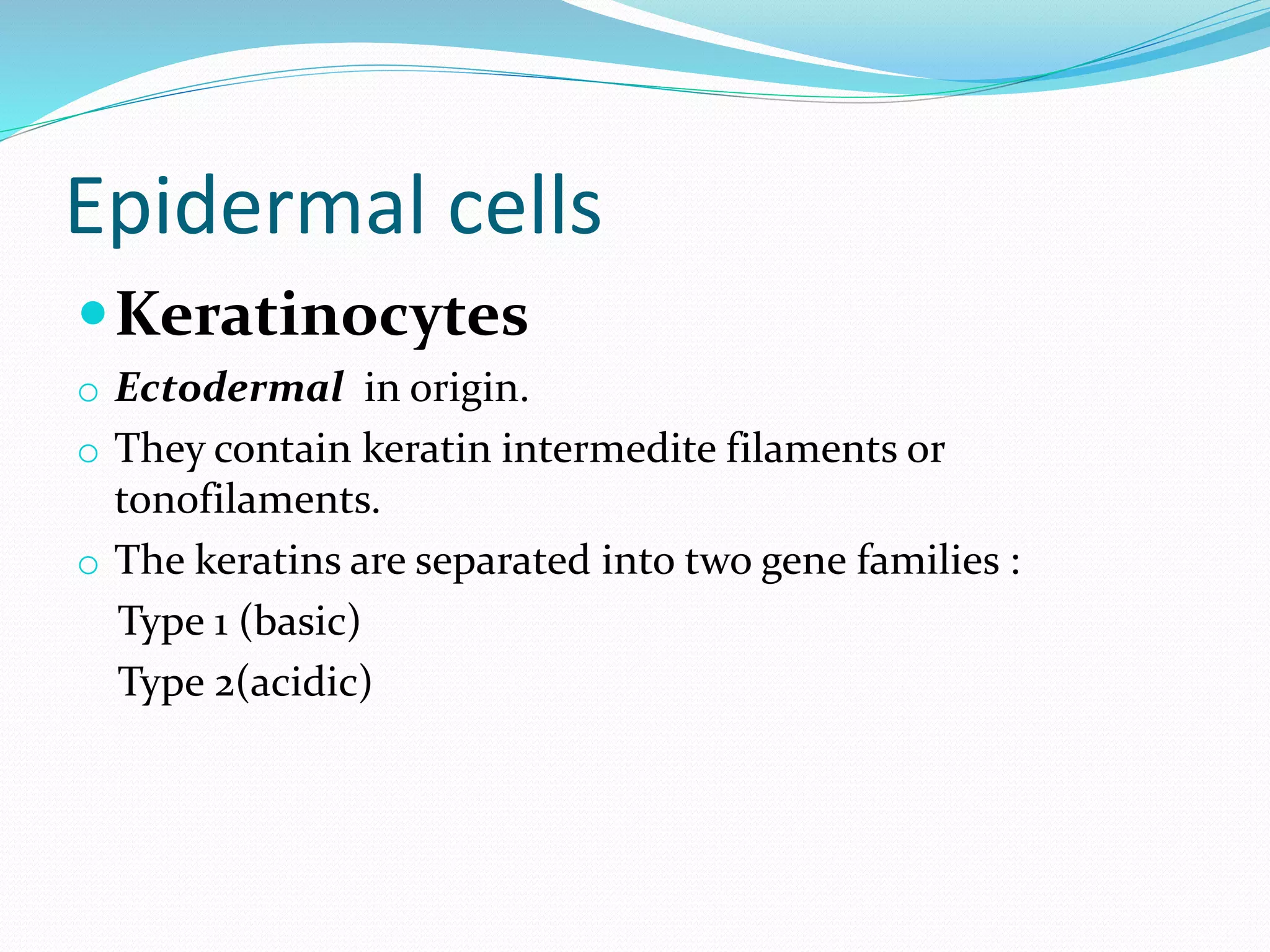 Structure of skin | PPTX