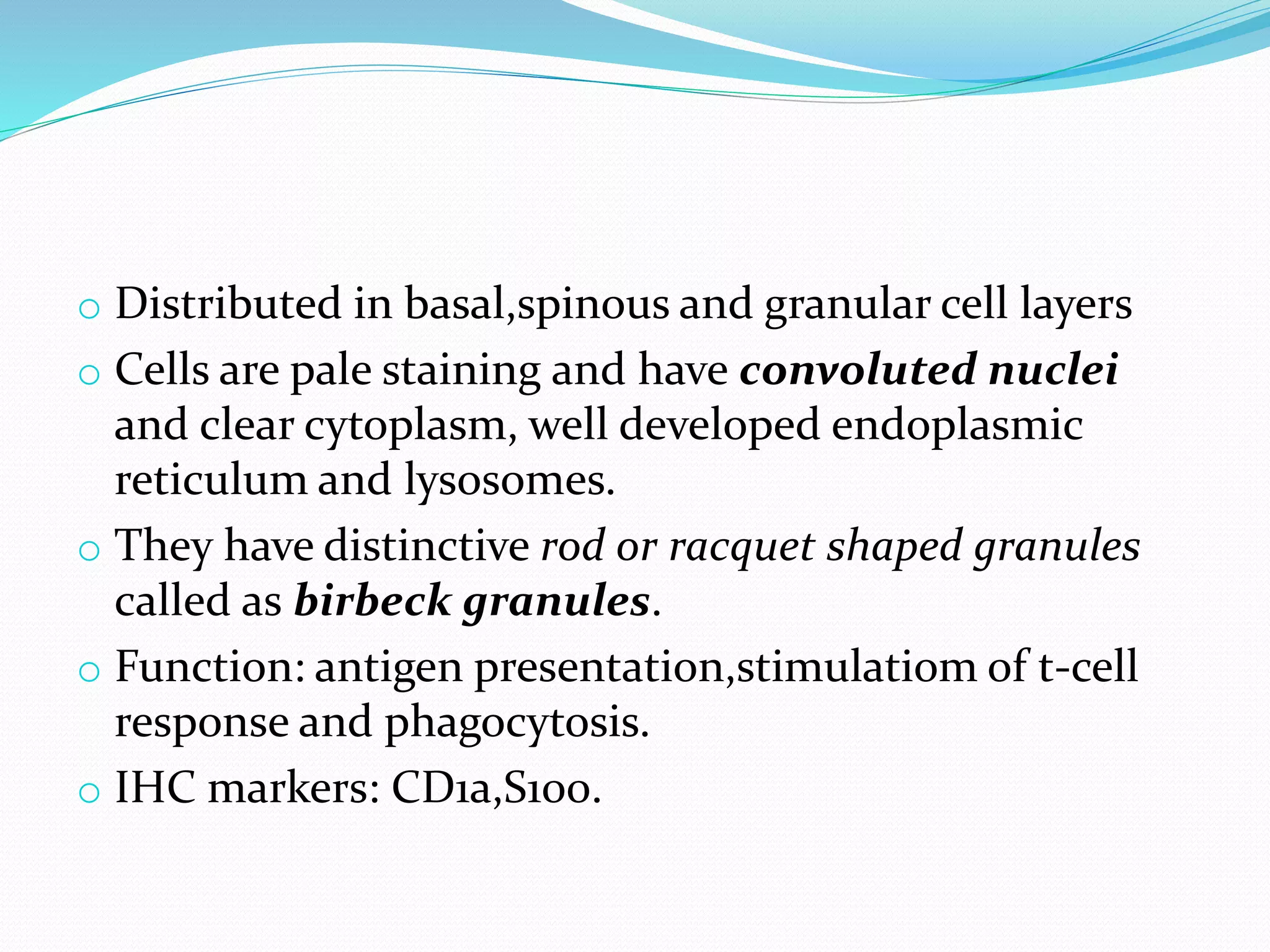 Structure of skin | PPTX