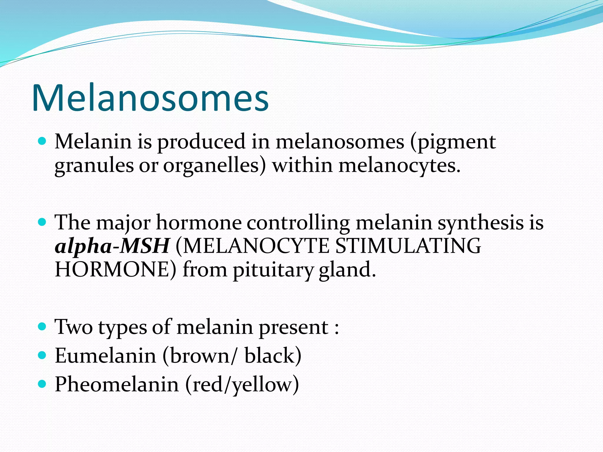 Structure of skin | PPTX