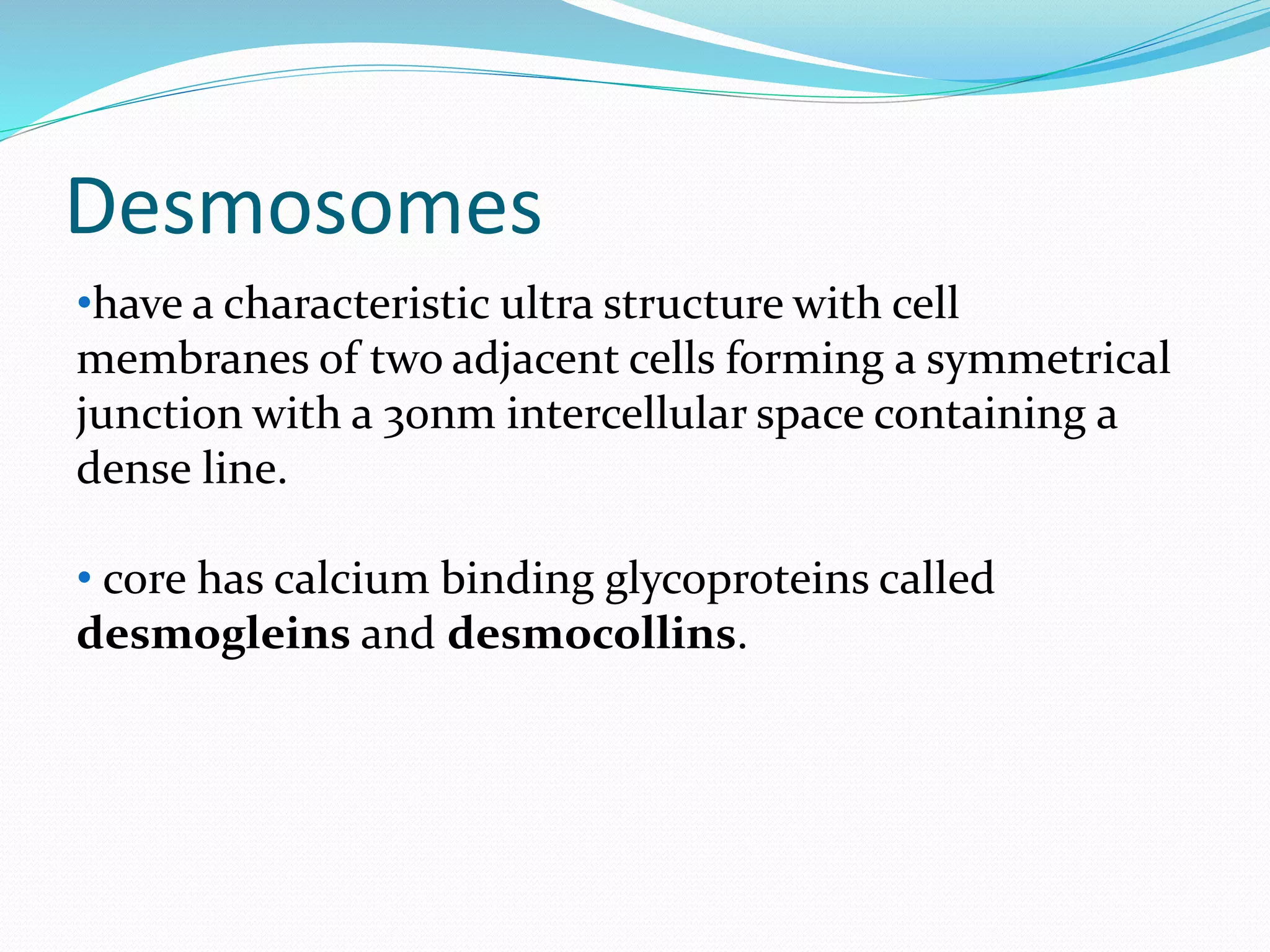Structure of skin | PPTX