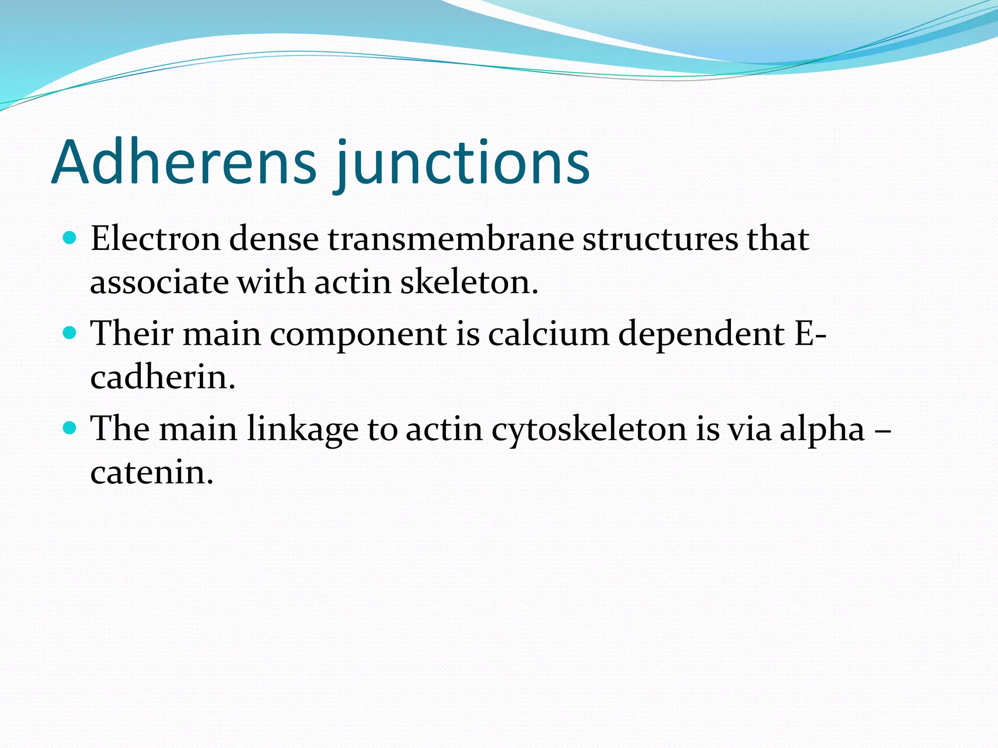 Structure of skin | PPTX