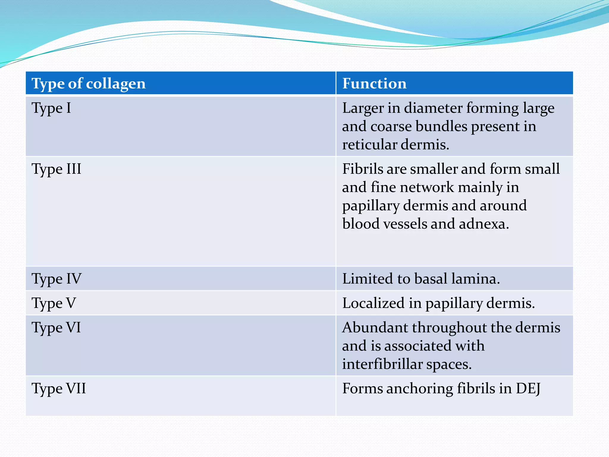 Structure of skin | PPTX