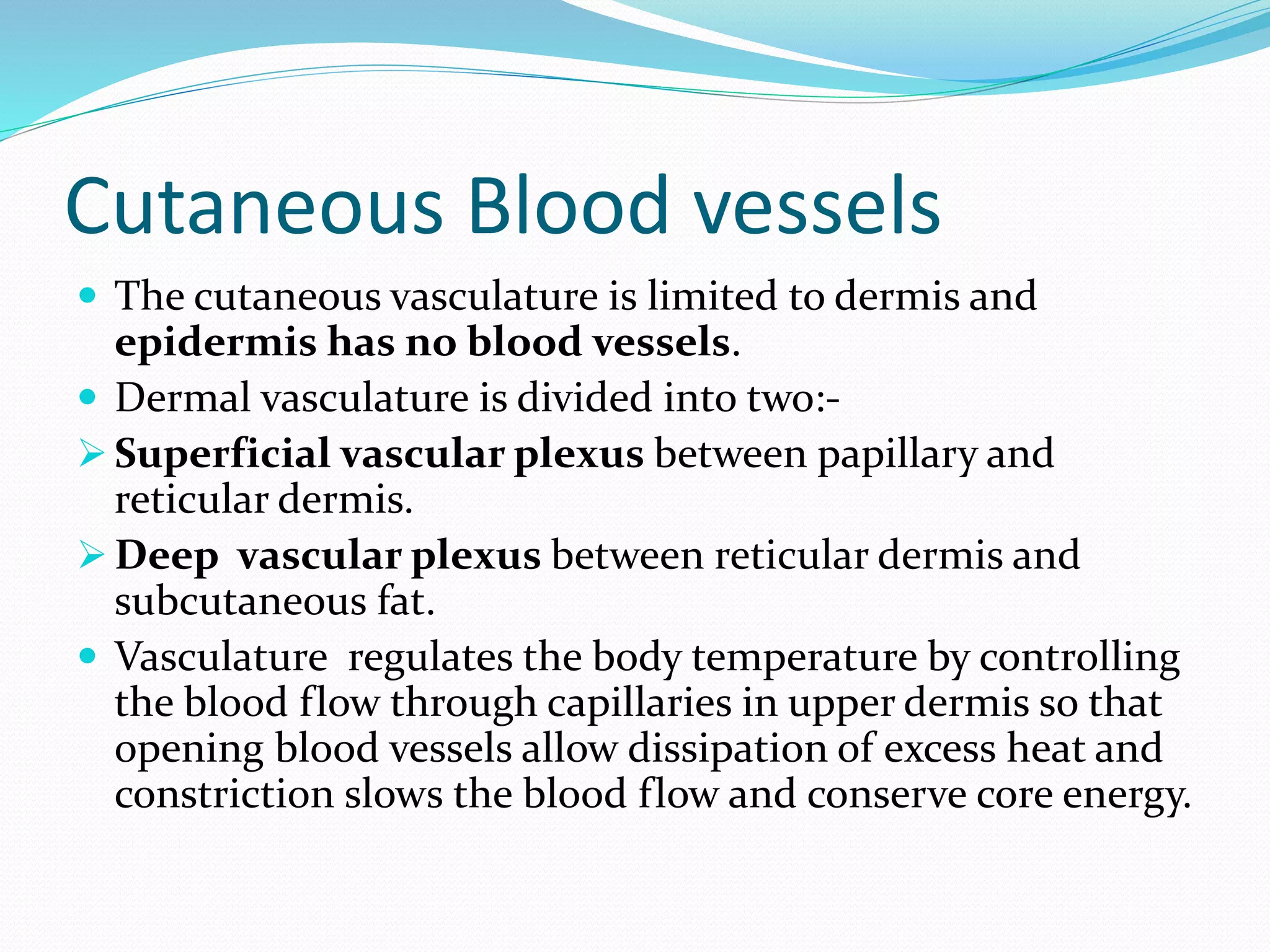 Structure of skin | PPTX