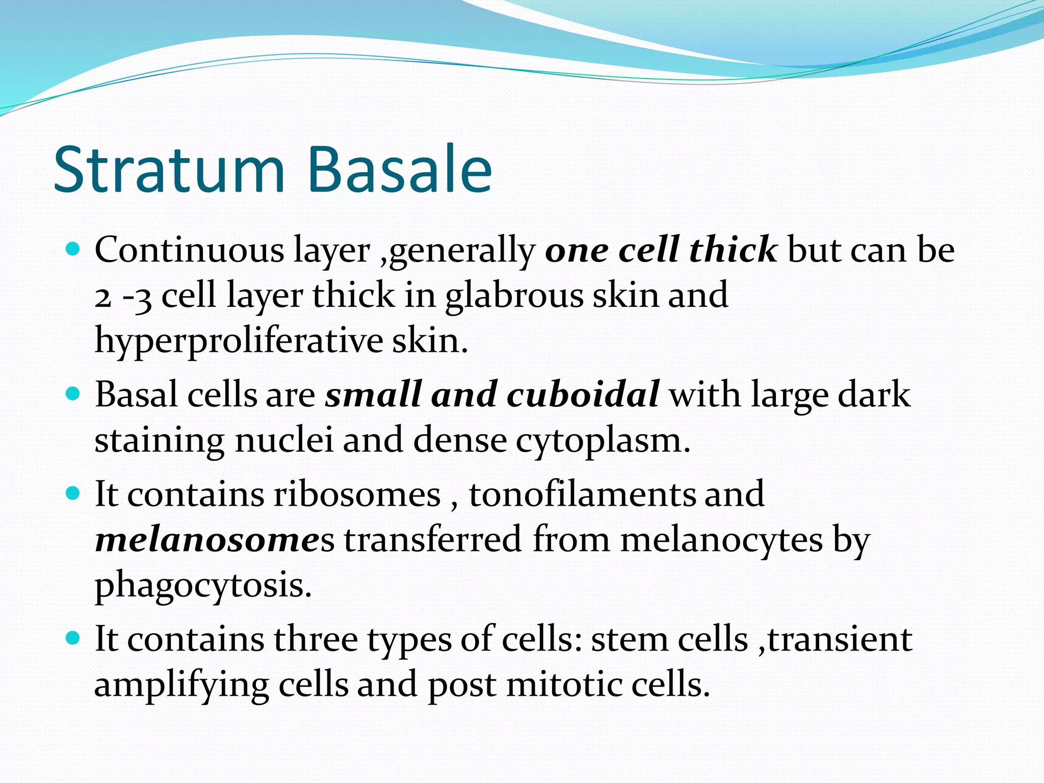 Structure of skin | PPTX