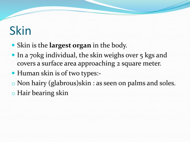 Structure of skin | PPTX | Skin and Dermatology | Diseases and Conditions