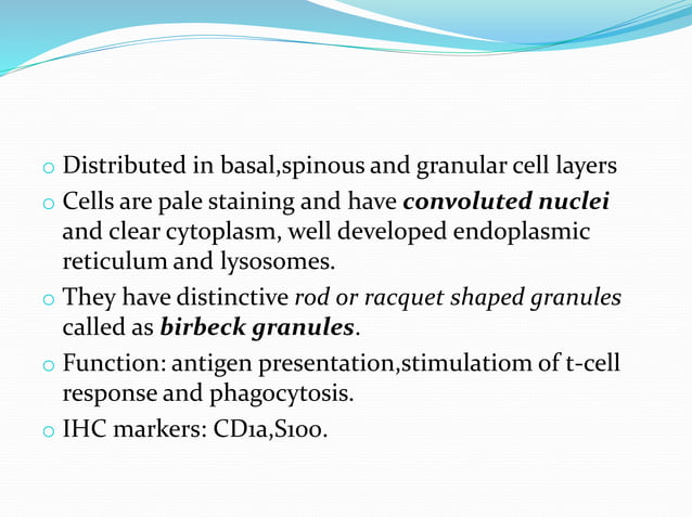Structure of skin | PPTX | Skin and Dermatology | Diseases and Conditions