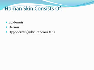 Structure of skin | PPTX