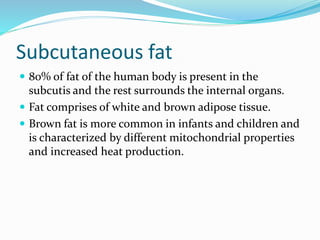 Structure of skin | PPTX