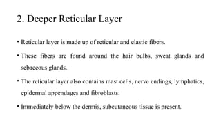 Structure of skin_Nursing_Applied anatomy and physiology | PPTX