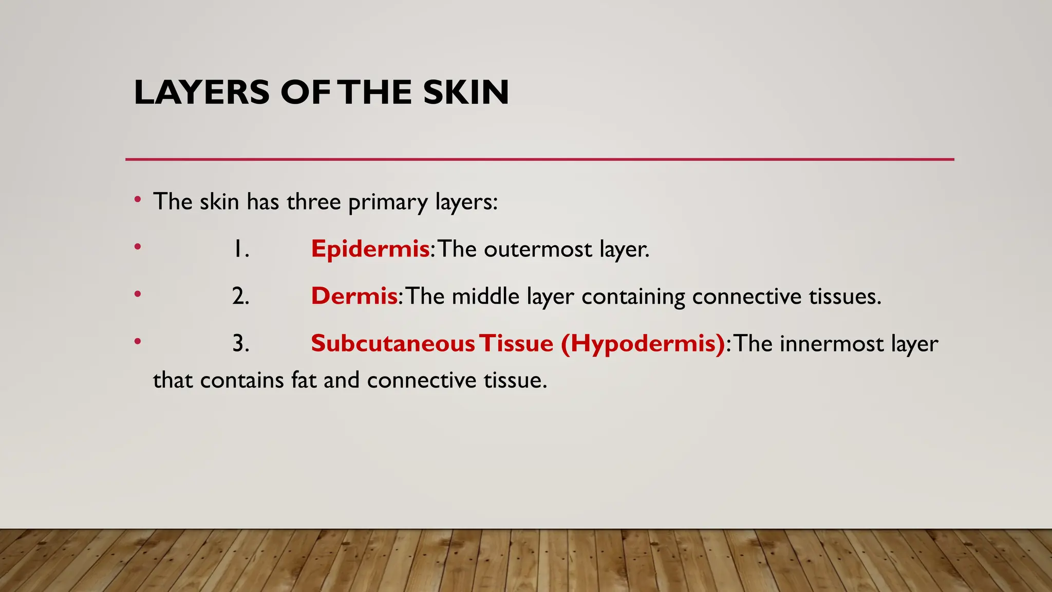 Structure of skin on newborns.pptx structure of skin kf newborns | PPT