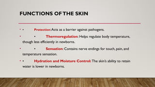Structure of skin on newborns.pptx structure of skin kf newborns | PPTX
