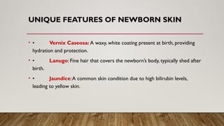 Structure of skin on newborns.pptx structure of skin kf newborns | PPT