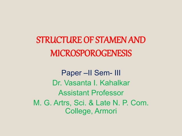 Structure of stamen | PPTX