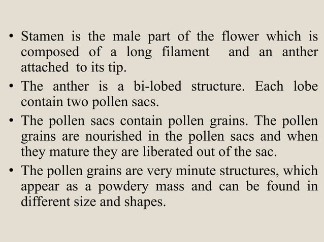 Structure of stamen | PPTX