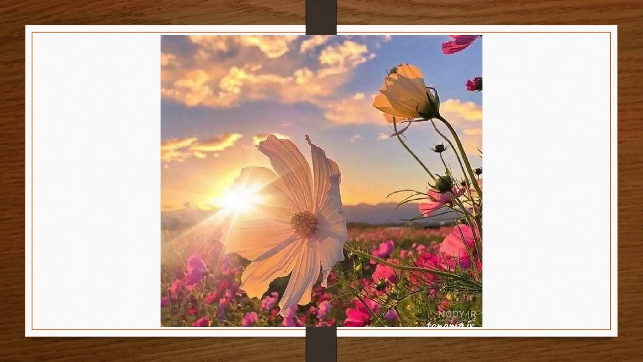 Structure Of Teeth Pptx Aa Pptx