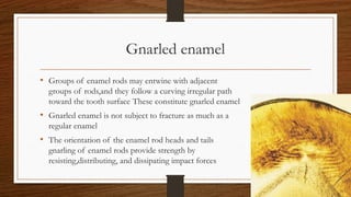 Structure of teeth.pptx aa.pptx