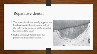 Structure of teeth.pptx aa.pptx