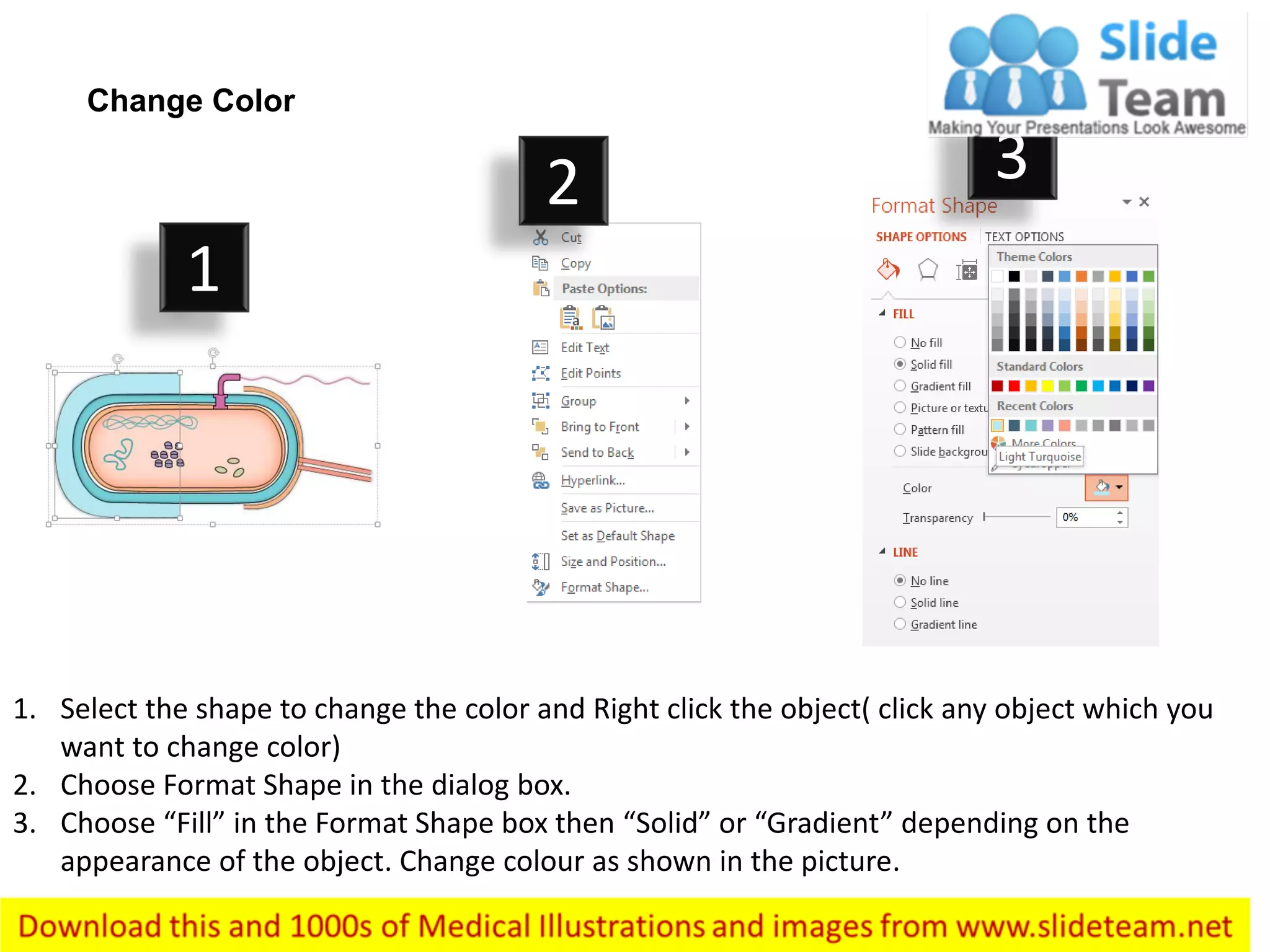 Structure of the bacterial cell membrane medical images for power point ...